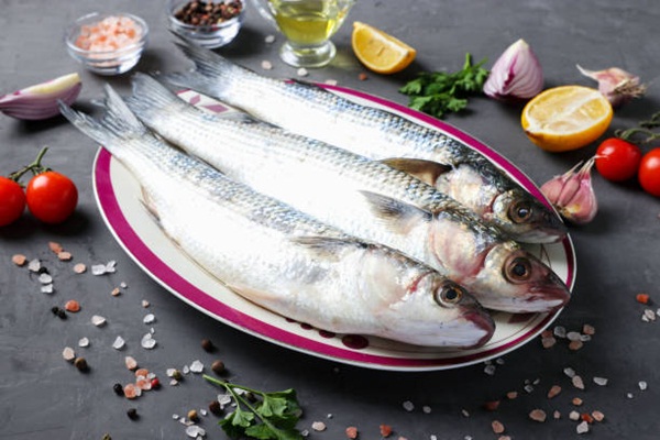 Grey Mullet – Global Central Line