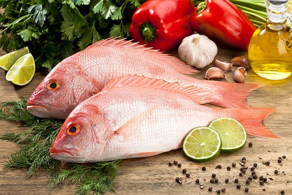 Fish – Global Central Line