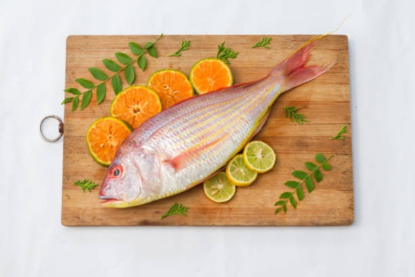 Threadfin Bream – Global Central Line